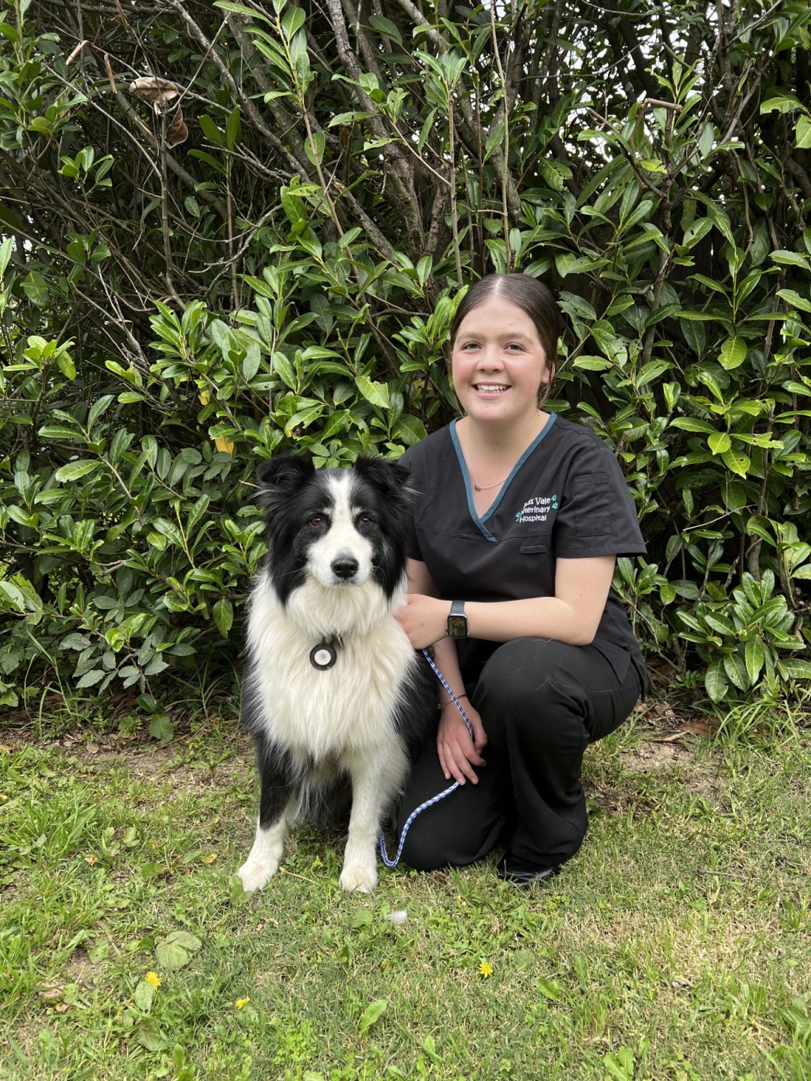 Amelia - Moss Vale Veterinary Hospital